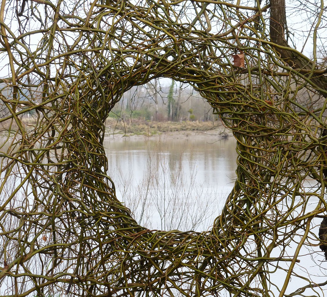Salix contorta | Julien Mouroux | Land Art – Art environnemental