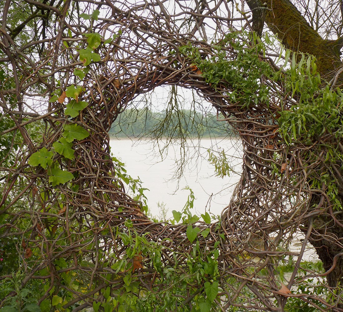 Salix contorta | Julien Mouroux | Land Art – Art environnemental