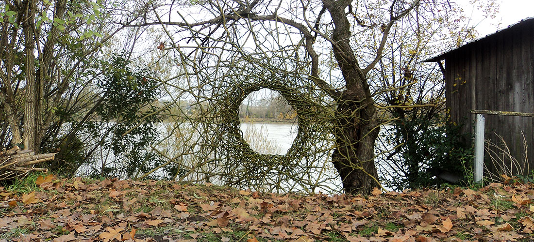 Salix contorta | Julien Mouroux | Land Art – Art environnemental